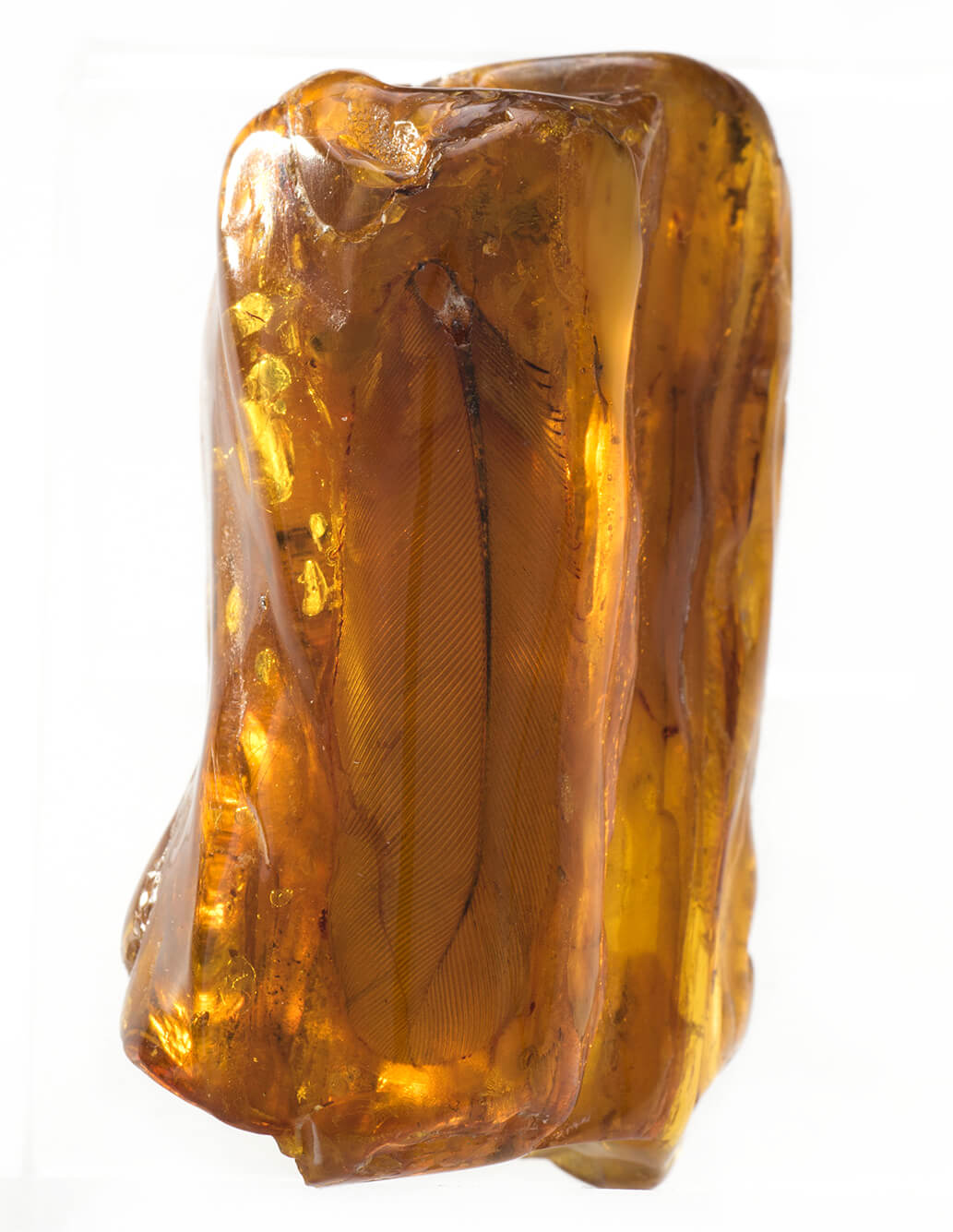 What is the biggest inclusion in Baltic amber? – Amber Experts
